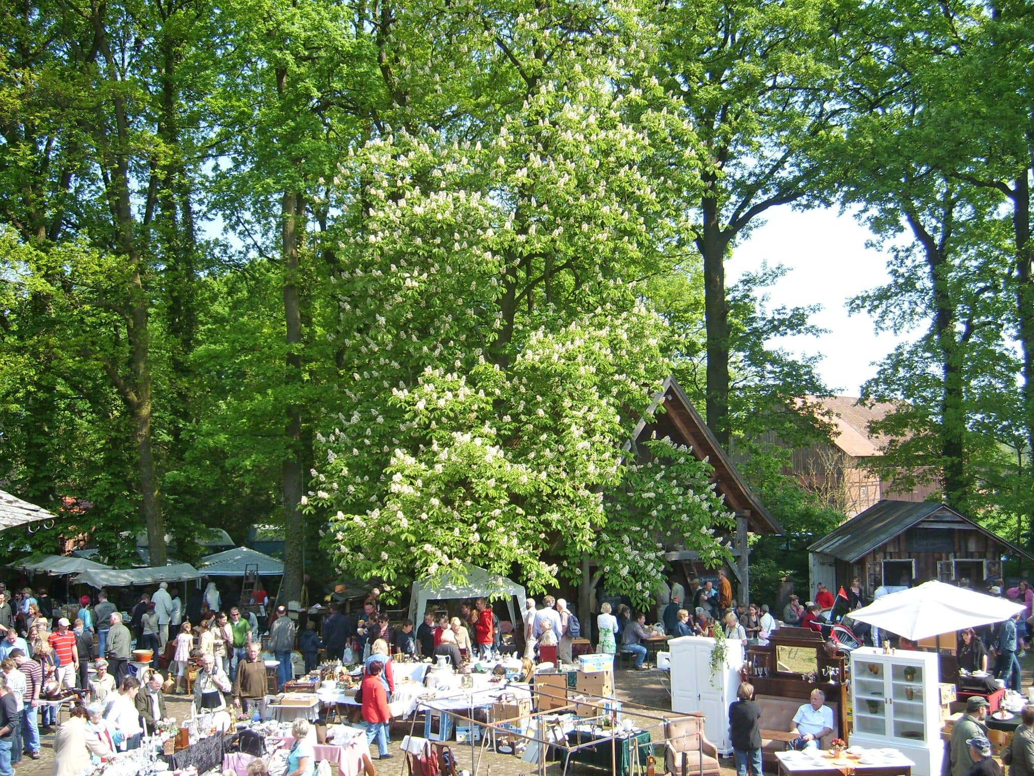 Faszinierend Flohmarkt Auf Dem Findelhof Ebenbild